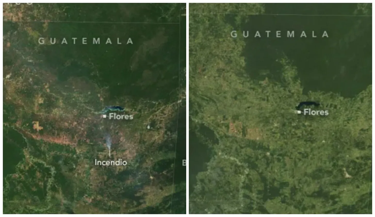 Nasa: The Maya Forest in Guatemala is Shrinking - LatAm Reports