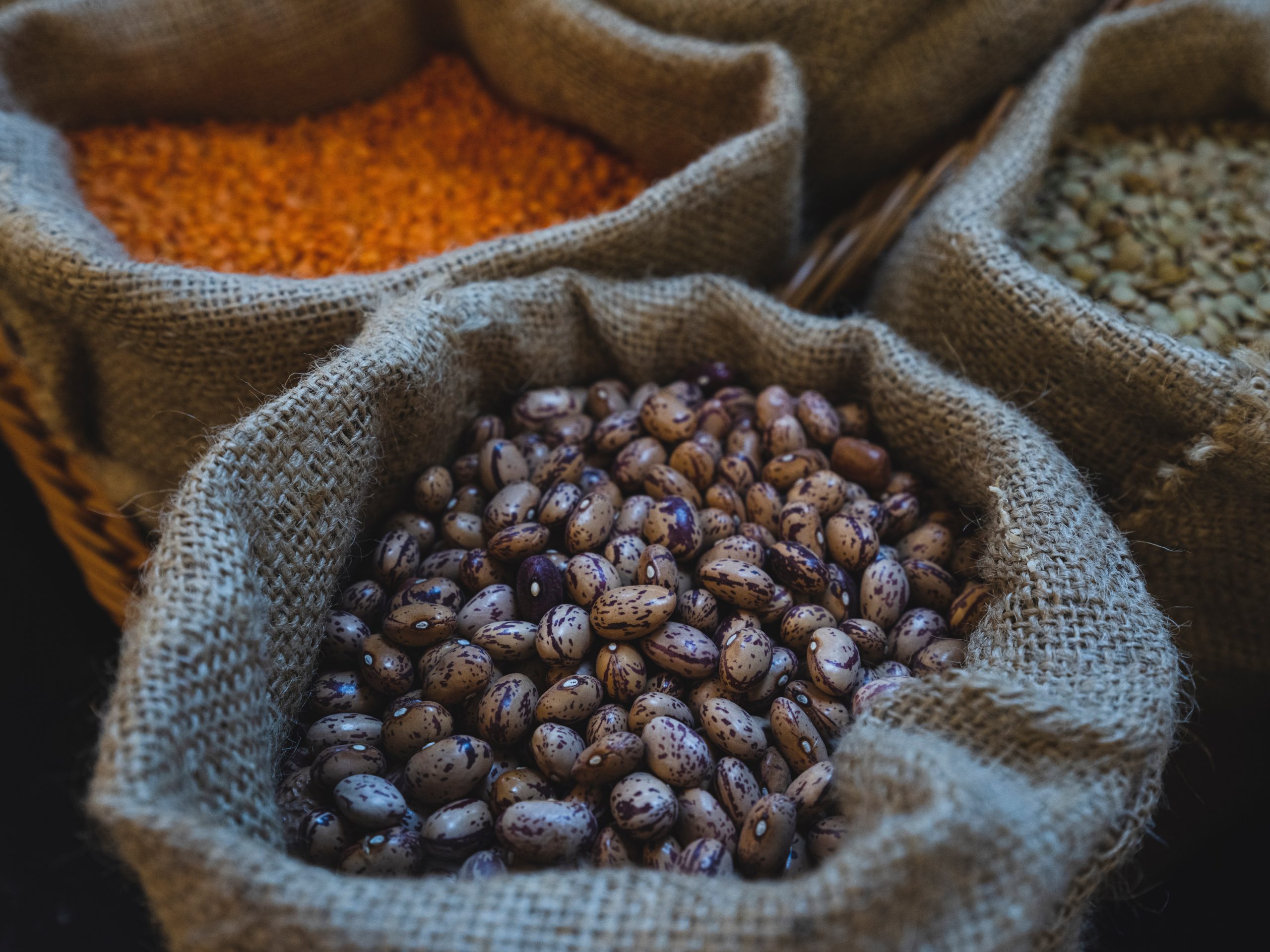 Bean prices reach highest level in 3 years in El Salvador - LatAm Reports